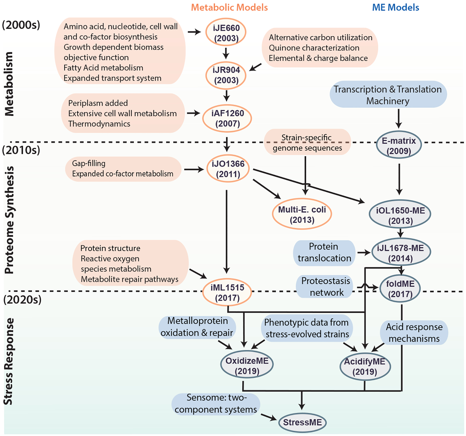 Genome Scale Metabolic Models Systems Biology Research Group